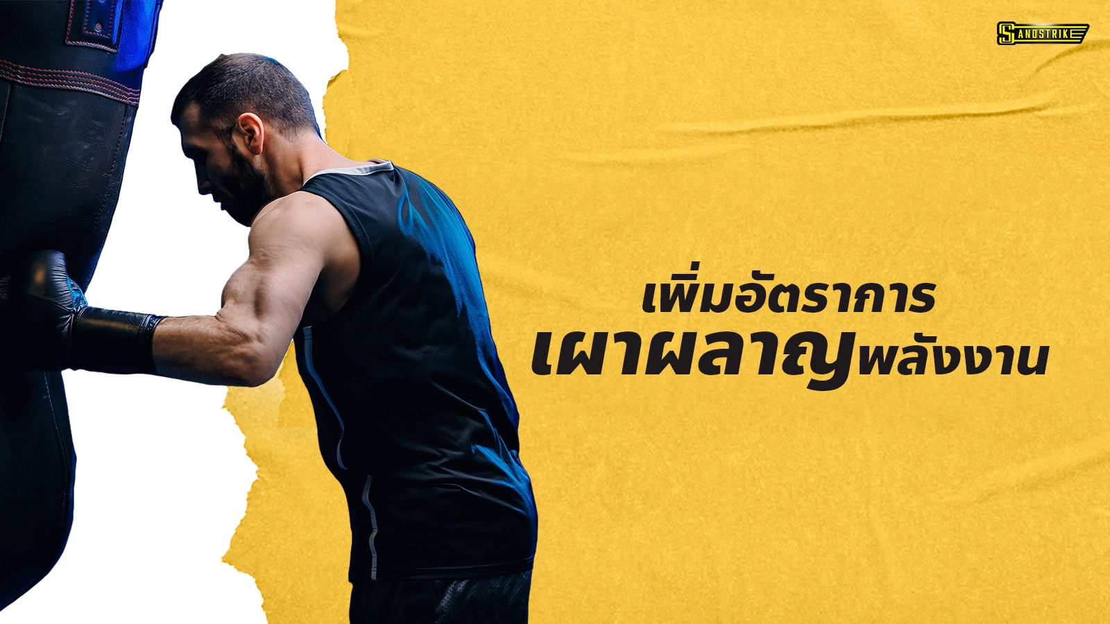 กระสอบทรายช่วยลดไขมันได้จริงหรือไม่ - Sand Strike อันดับ 1 กระสอบทราย